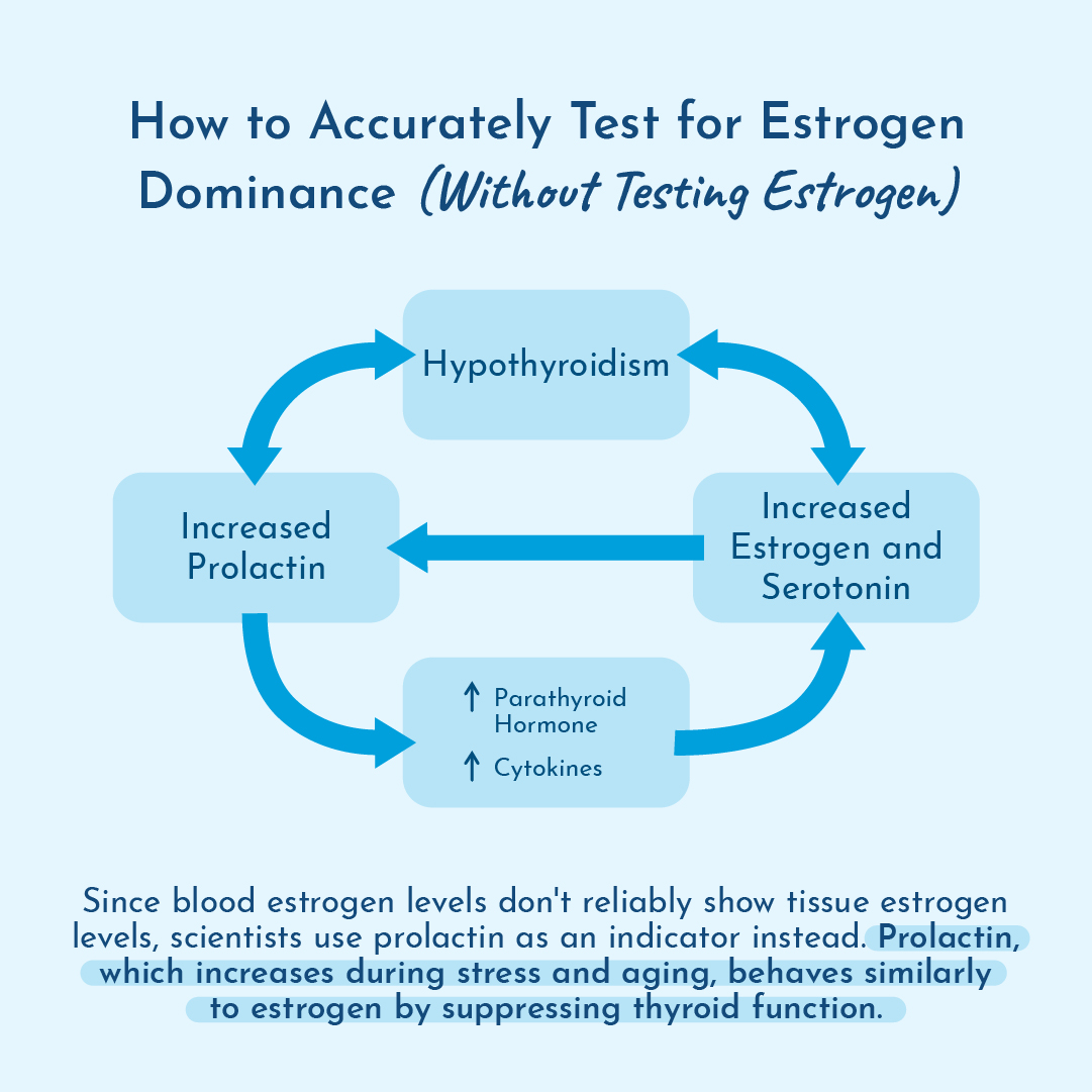 TestForEstrogenDominance_SupportingGraphic ...