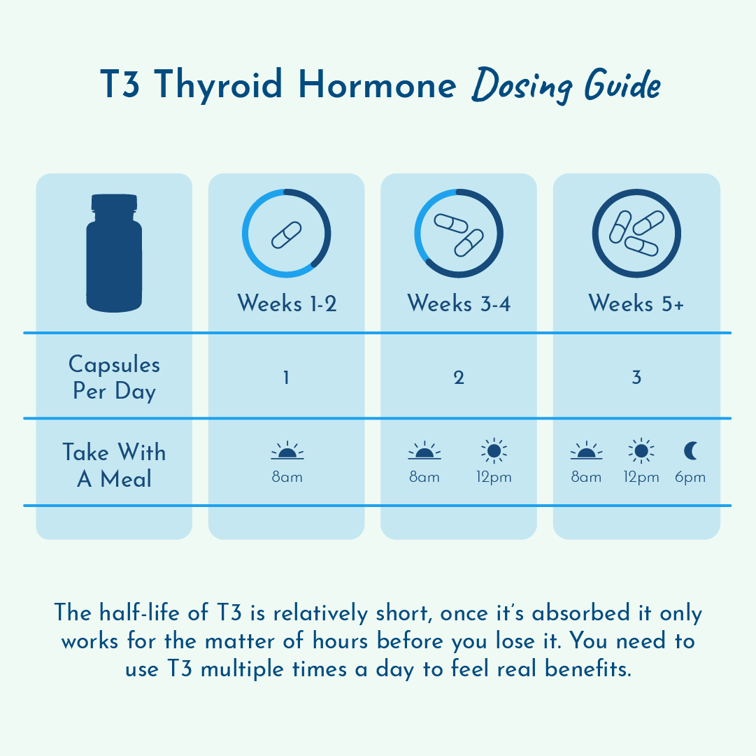 ThyroidMistakes_SupportingGraphic_T3ThyroidHormoneDosingGuide